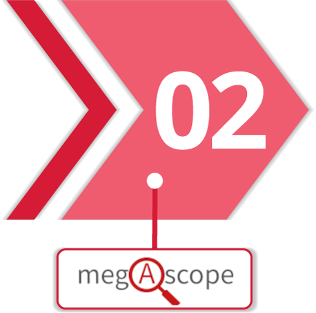 megAscope